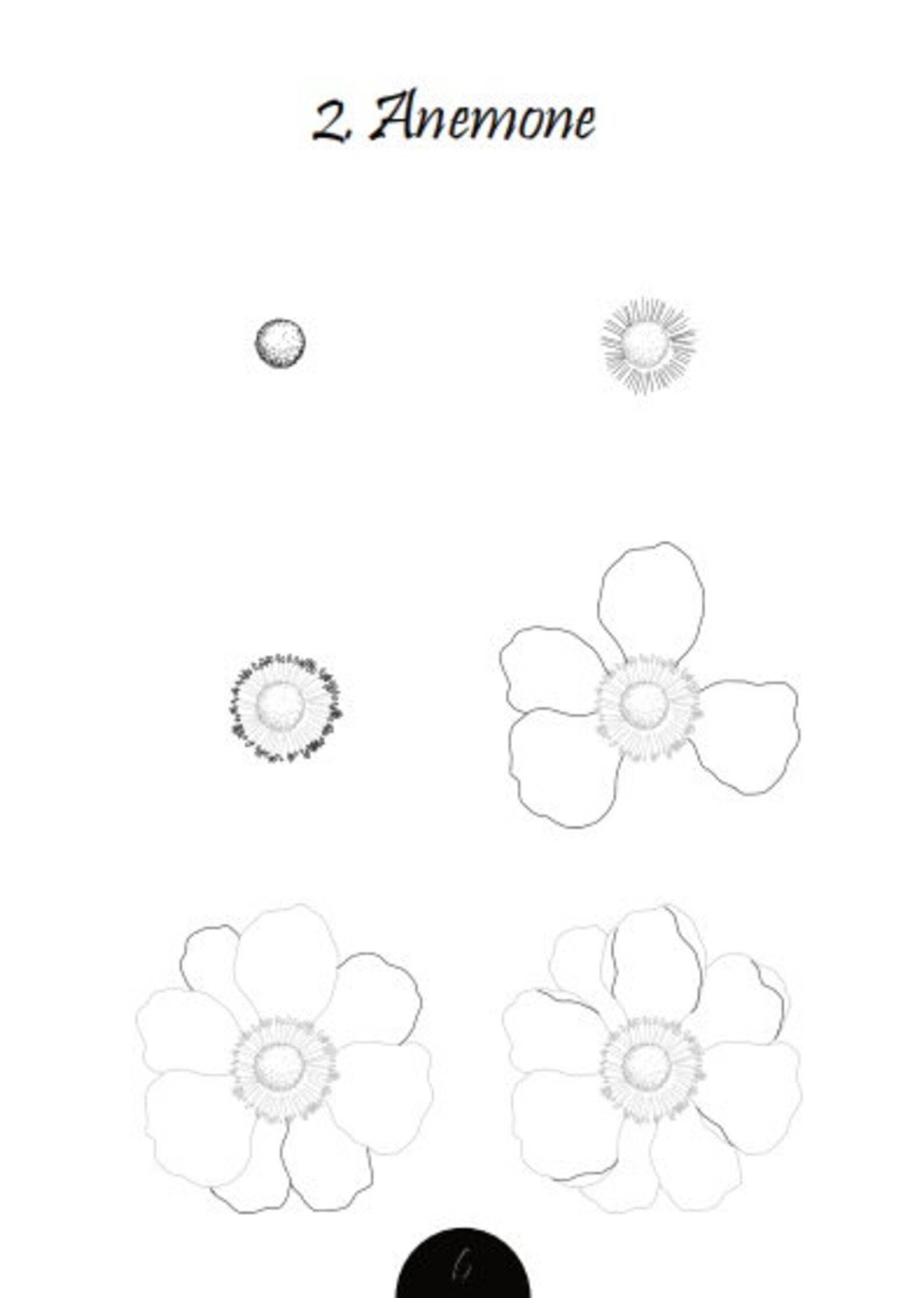 How to Draw Flowers Guidebook - Etsy