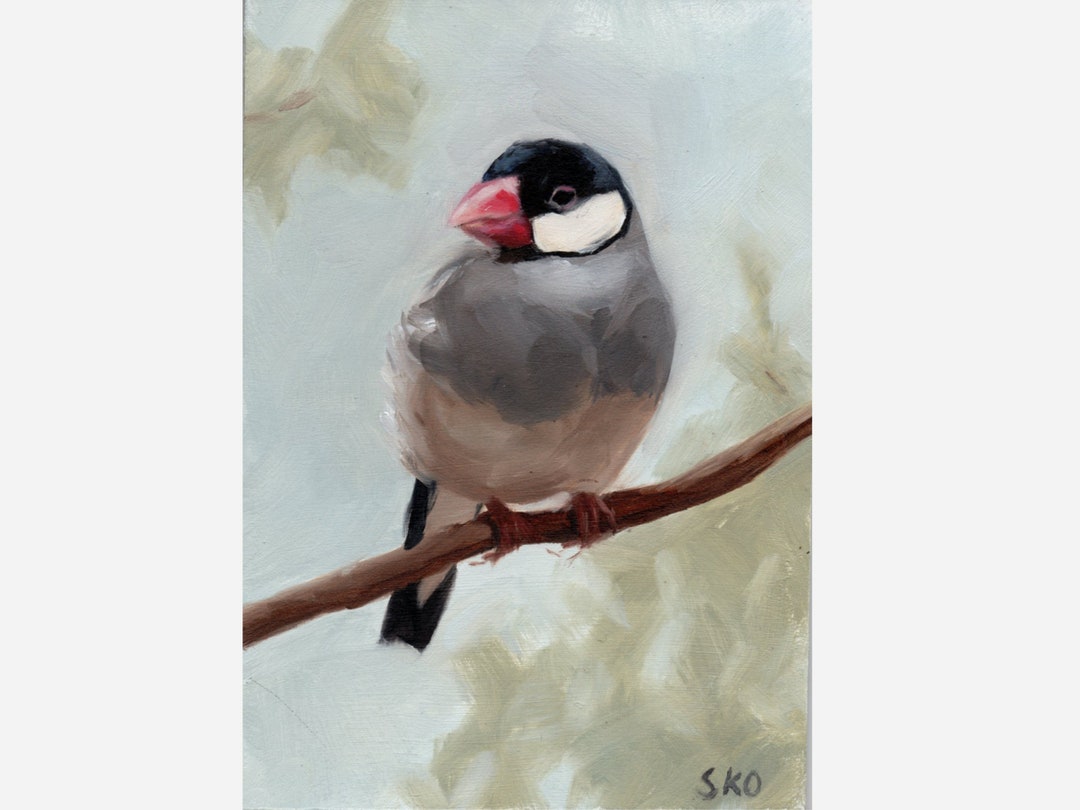 Bird Original Oil Painting | Small Painting | Java Sparrow - Etsy