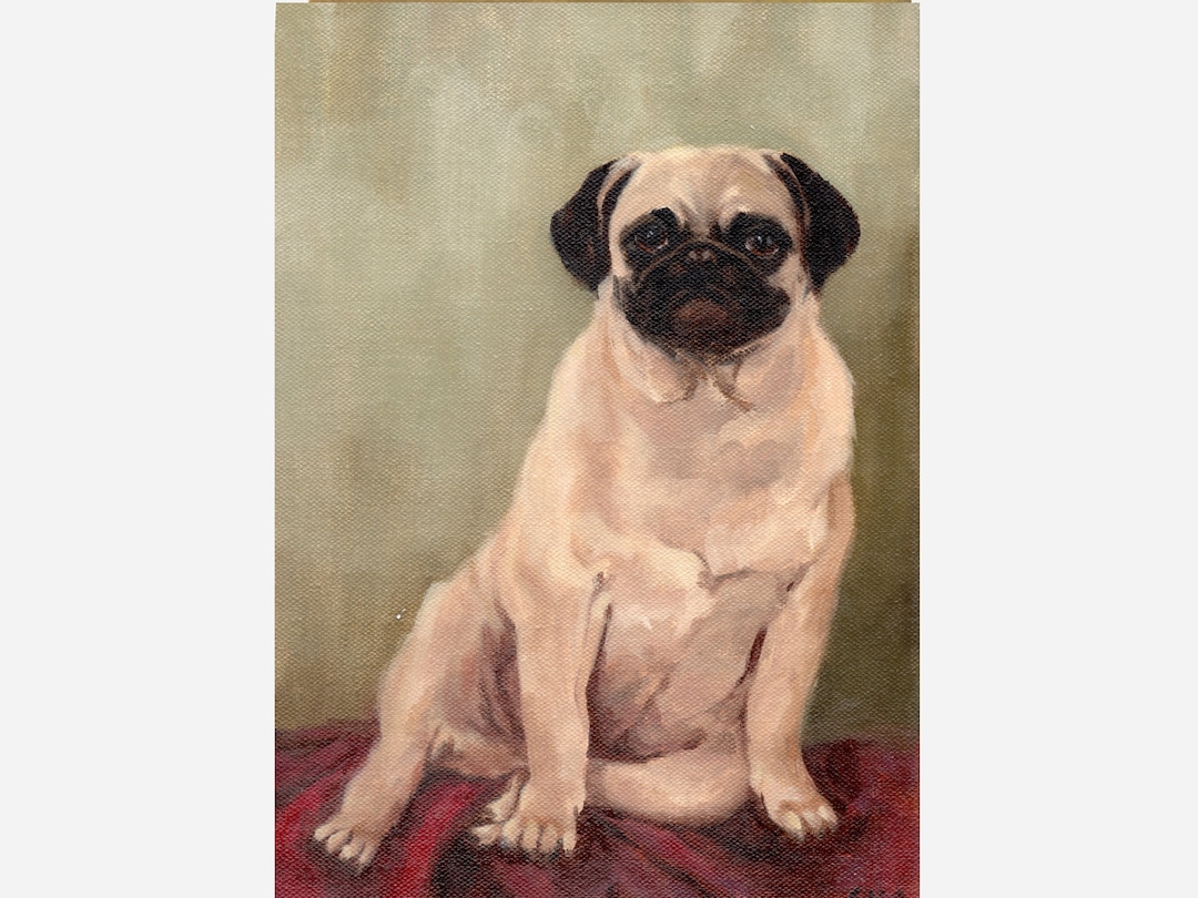 Pug Oil Painting on Canvas | A4 | Original Art | Dog Portrait | Pug ...