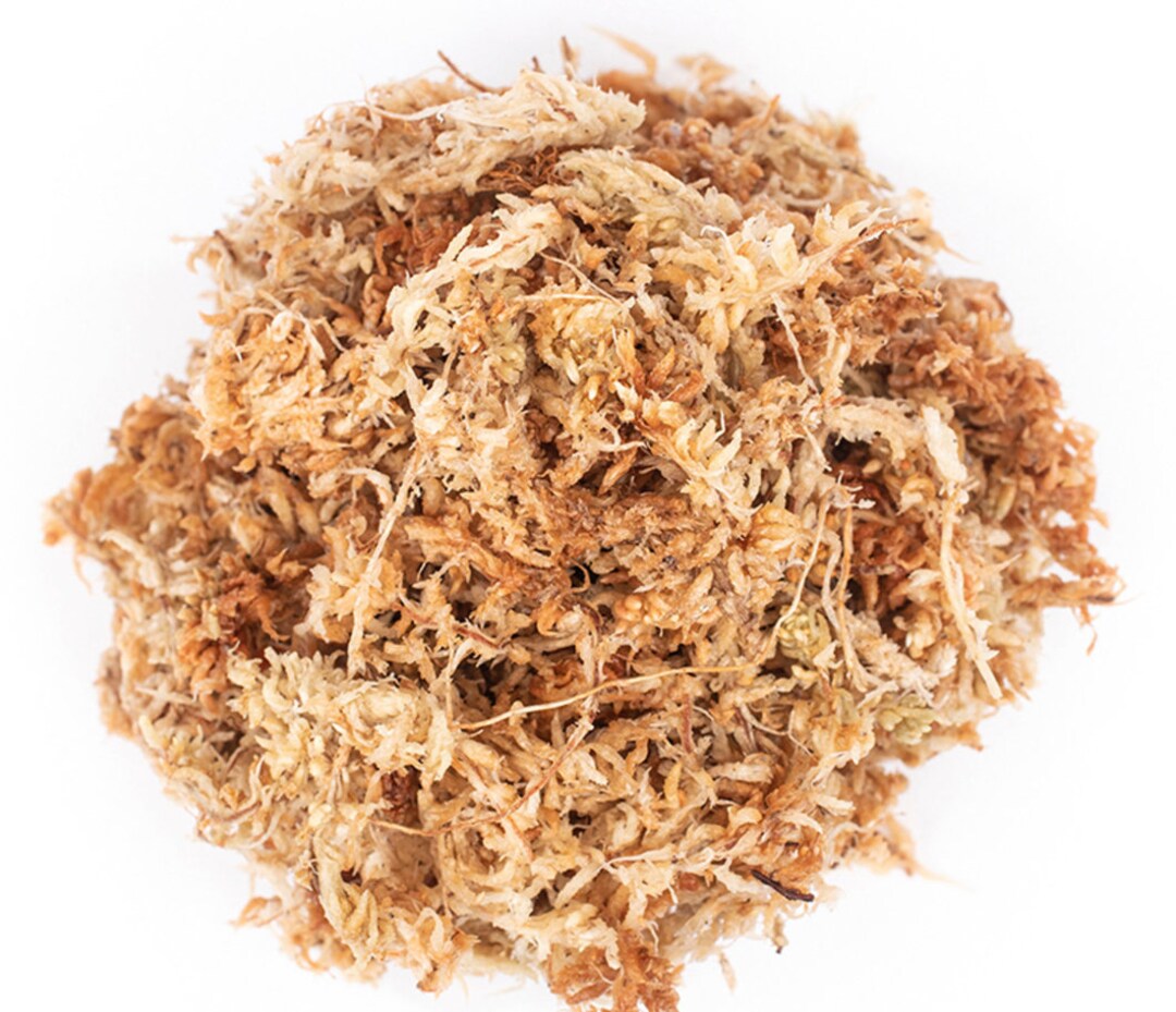 Long Fiber New Zealand Sphagnum Moss, NOT A Compressed Bale, Grade AAA ...