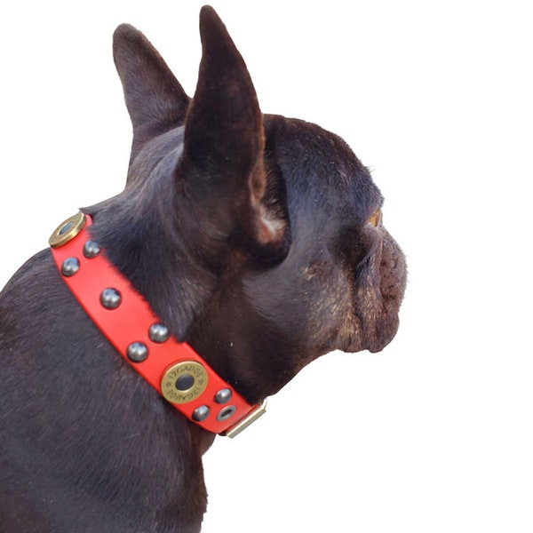 Bullet Dog Collar - Etsy