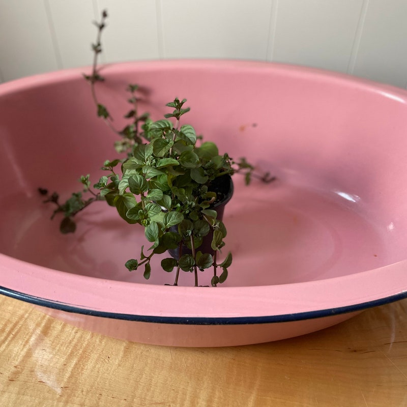 Pink Bathtub - Etsy