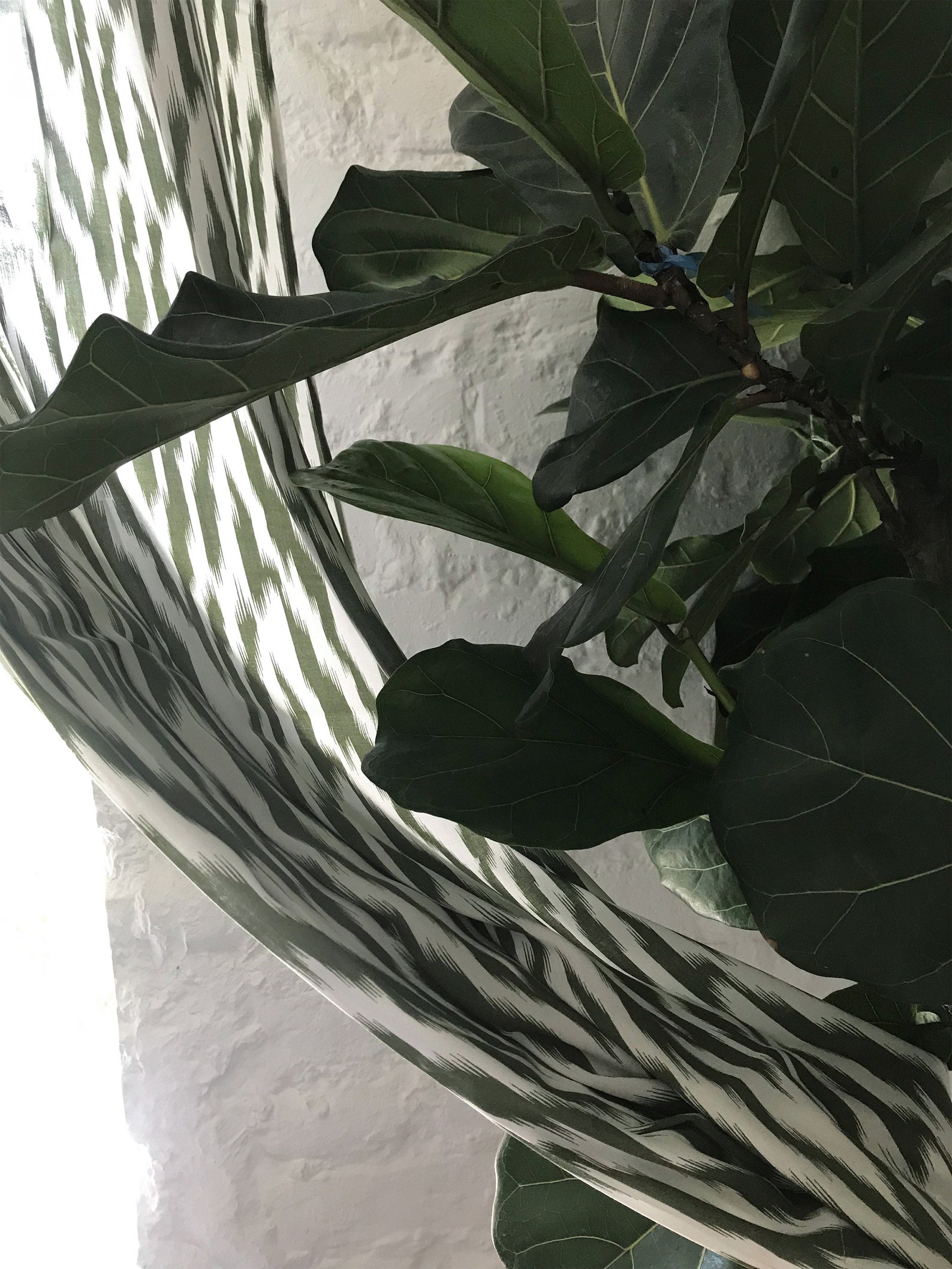 White and Green Cotton Staple Curtains, Two-tone Design Translucent ...