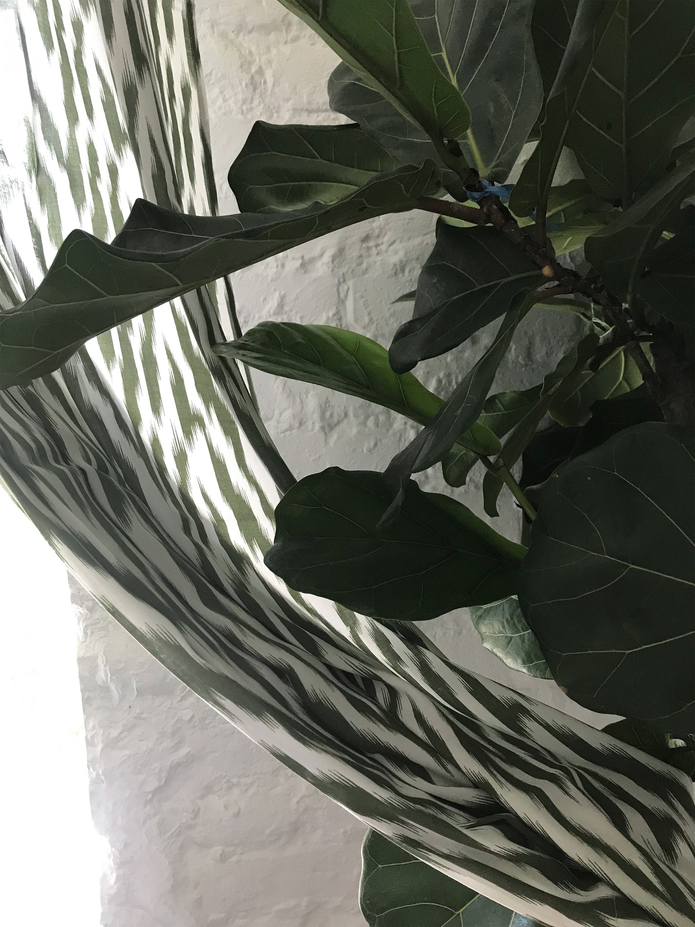 White and Green Cotton Staple Curtains, Two-tone Design Translucent ...