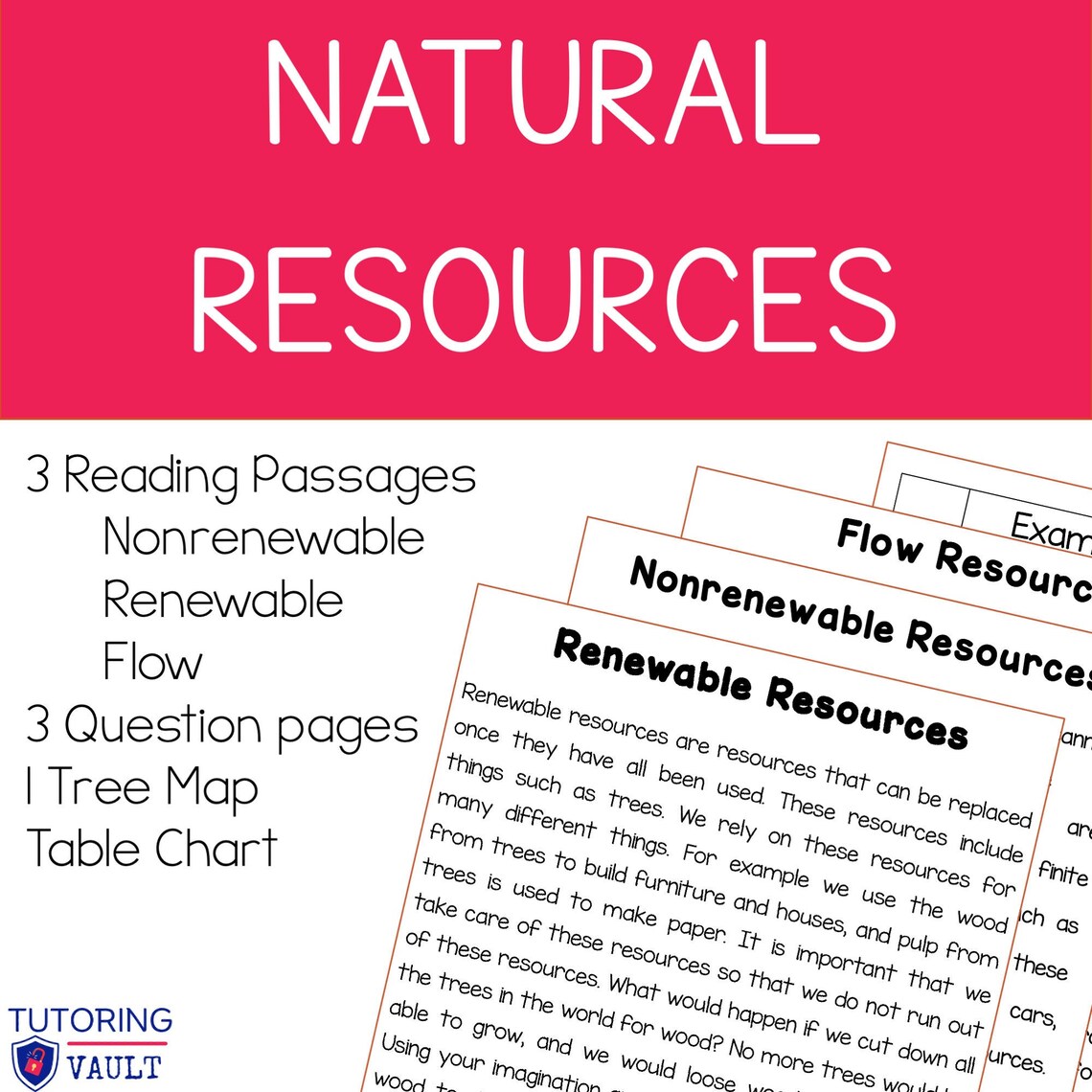 Types of Natural Resources Reading and Worksheets - Etsy