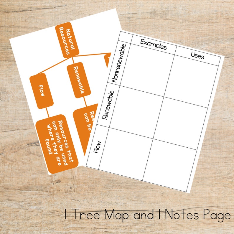 Types of Natural Resources Reading and Worksheets - Etsy