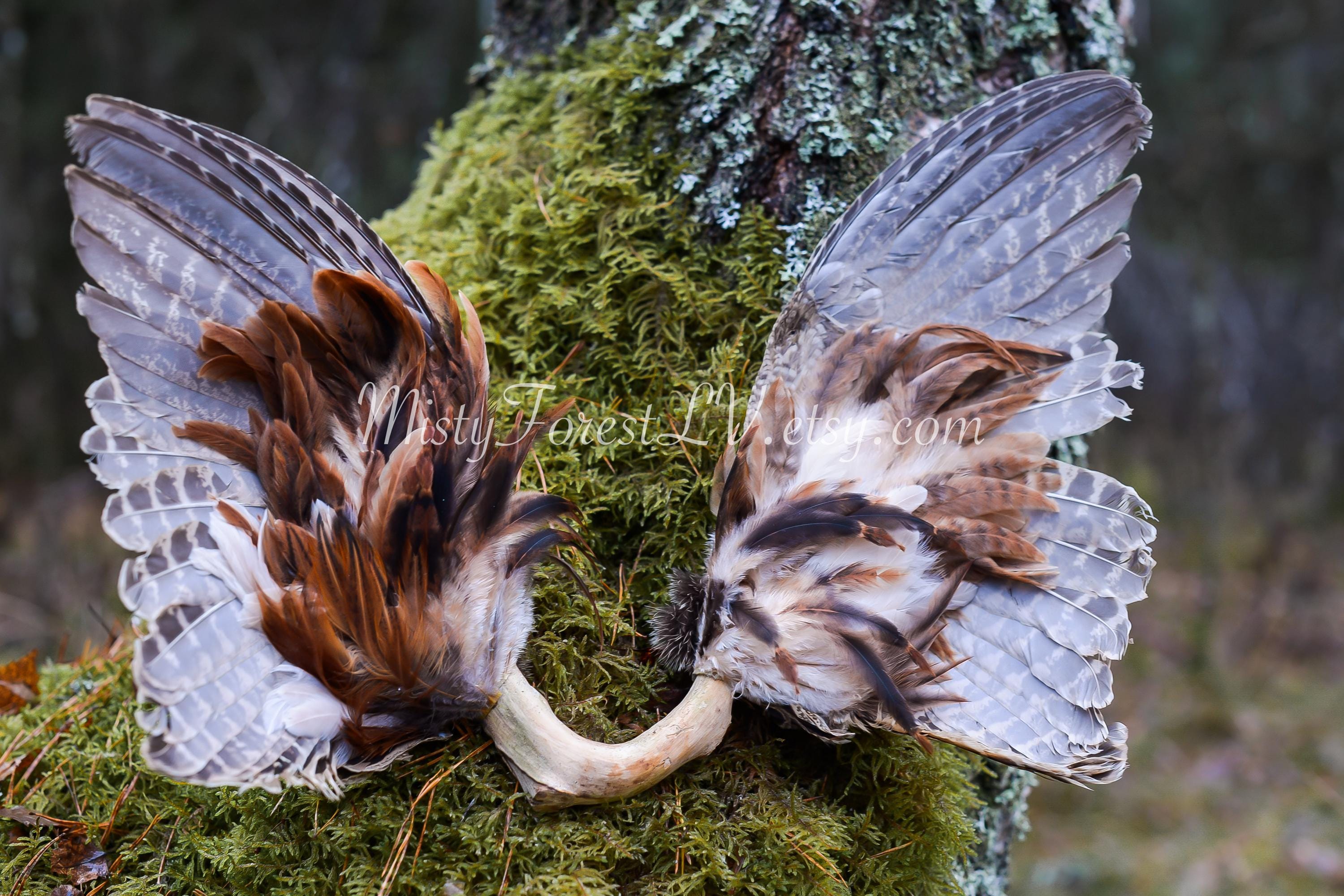 Large Feather Smudge Fan, Smudging Fan, Feather Fan, Ritual Fan ...