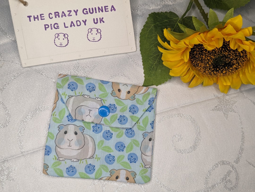 Handmade Guinea Pig Sanitary Pouch, Blueberry, Bag, Period, Fruit, Cute ...