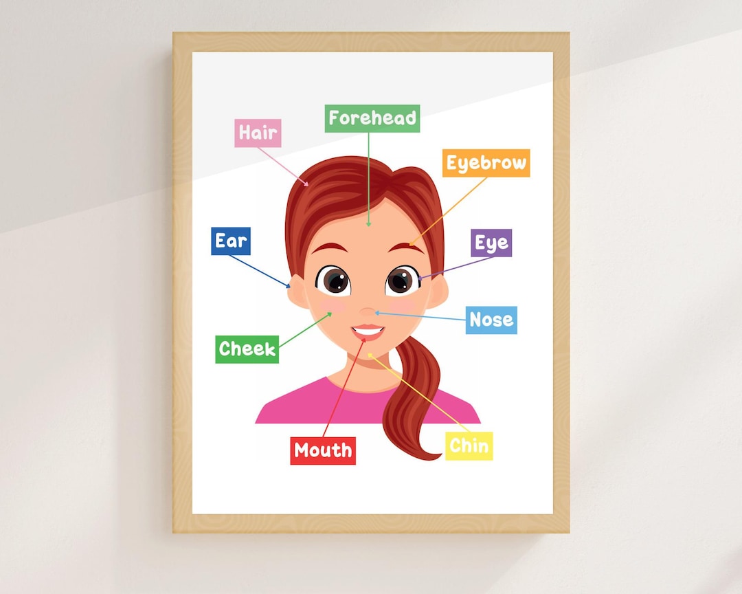 My Face Parts Printable, Human Body Educational Poster Montessori Early ...