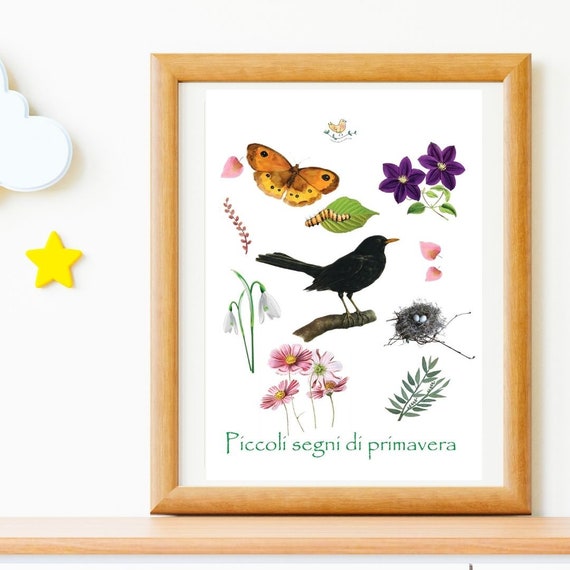 Piccoli Segni Di PRIMAVERA - Etsy