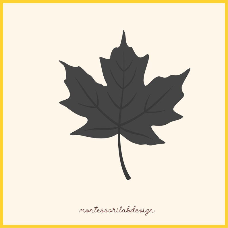 LEAVES - Cut - Paste - Color - Montessori Interactive Book - Children ...