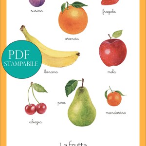 Printable POSTER MONTESSORI FRUIT Homeschool Apple - Etsy