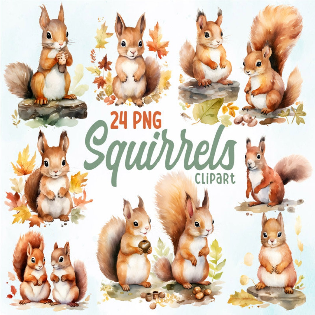 Watercolor Squirrels Clipart Bundle, Cute Forest Animal Clipart, Happy ...