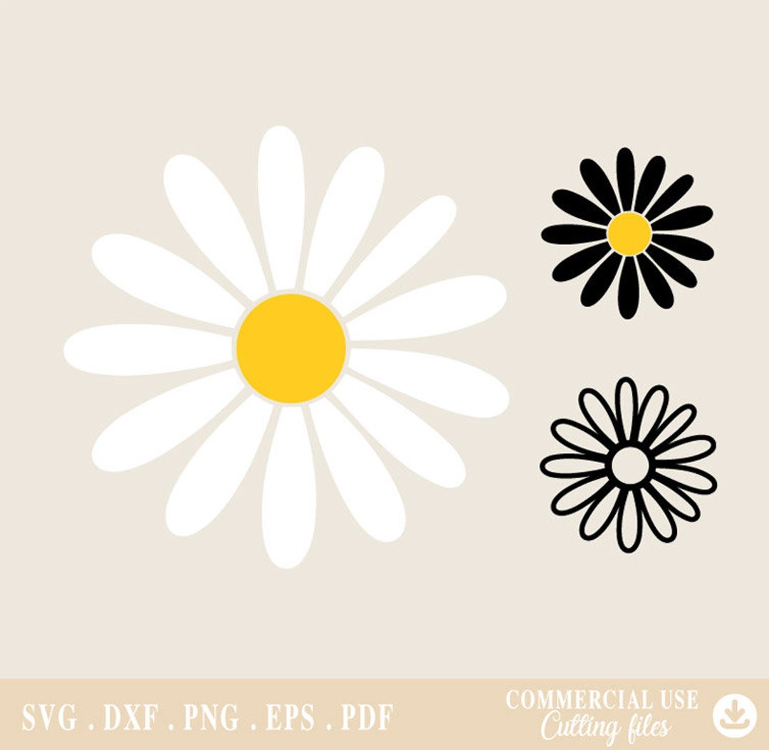 Daisy Flowers Svg PNG, Spring Daisy Flower, Digital File Png, Svg ...