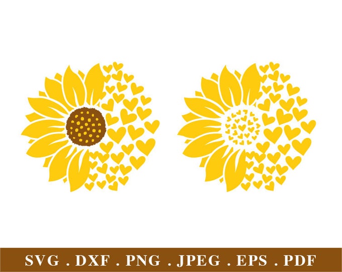 Daisy Flower Svg Daisy Flower PNG, Spring Daisy Flower, Digital File ...
