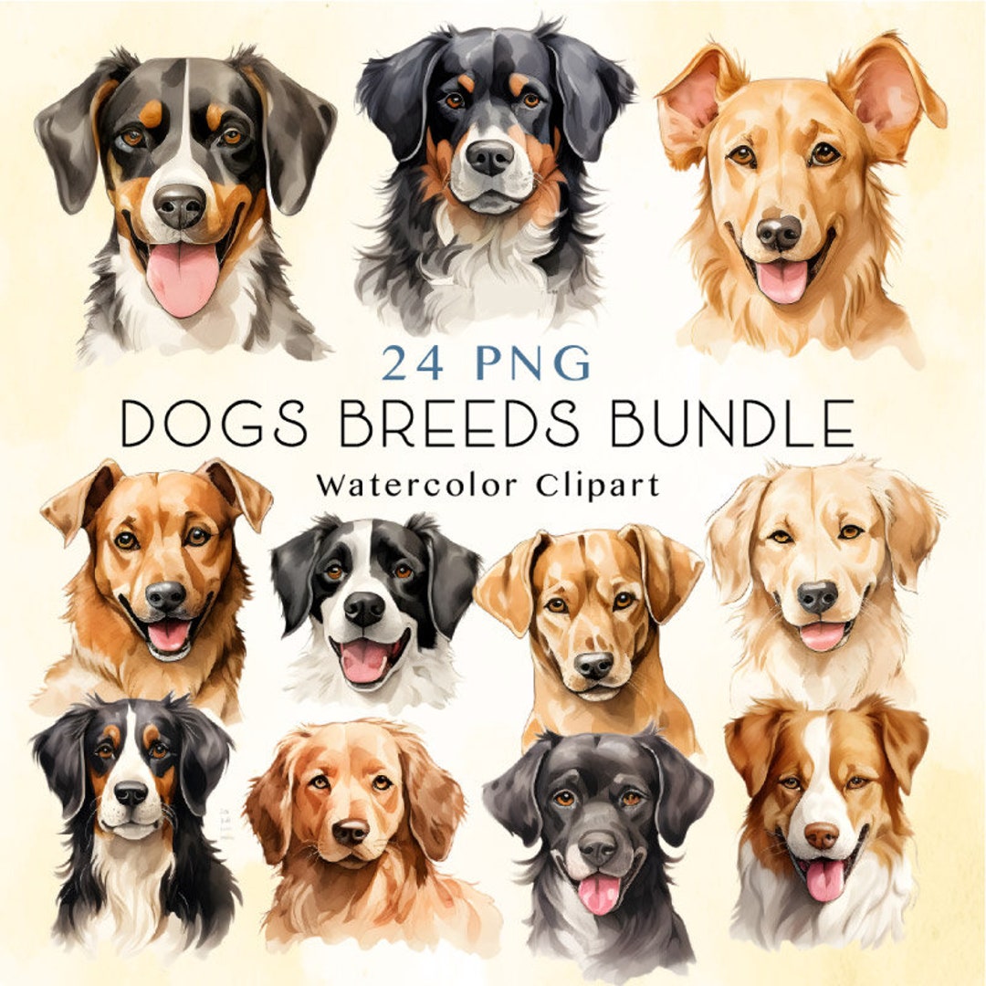 24 Dog Breeds Clipart Bundle, Pet, Dog Clipart Bundle, Watercolor Dog ...