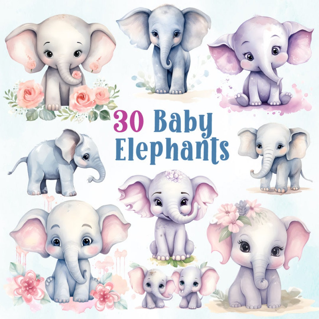 30 Watercolor Baby Elephant Clipart, Baby Elephant Png, Baby Elephant ...
