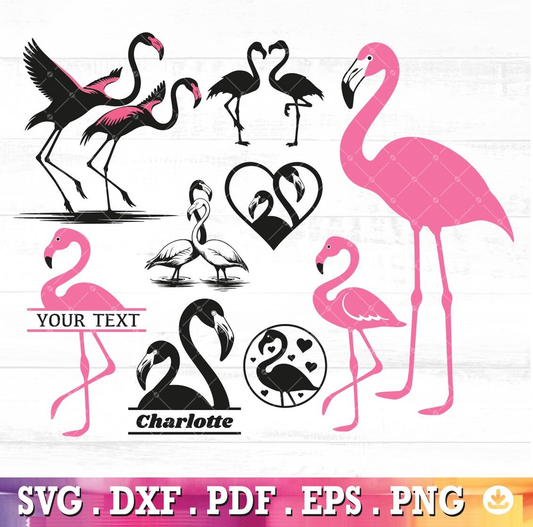 Flamingo SVG Bundle, Flamingo PNG, Flamingo Cut Files for Cricut ...