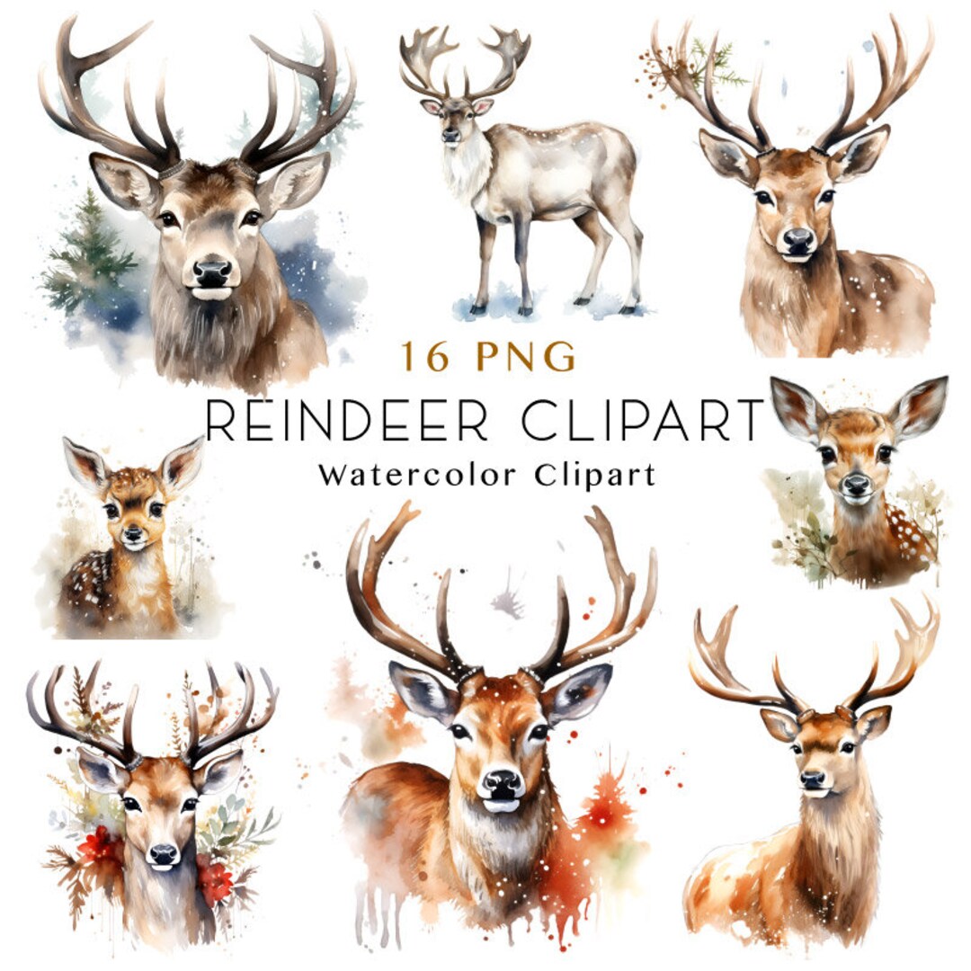Christmas Reindeer Clipart Bundle, Watercolor Reindeer Clipart ...