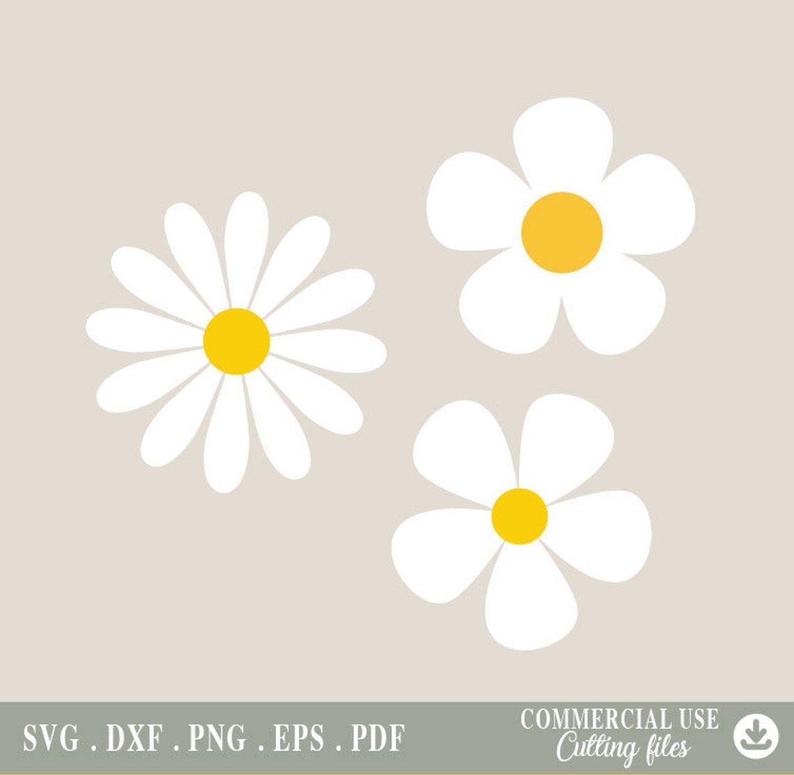 Daisy Flower Svg Daisy Flower PNG, Spring Daisy Flower, file digitale ...