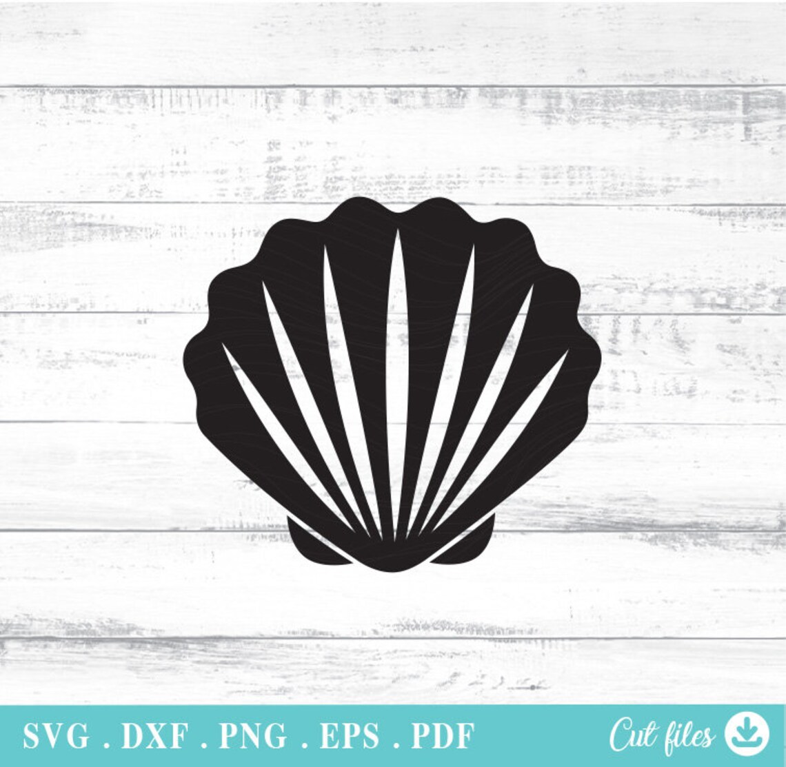 Seashell Svg, Clipart, for Cricut Silhouette, Svg, Dxf, Eps, Png - Etsy