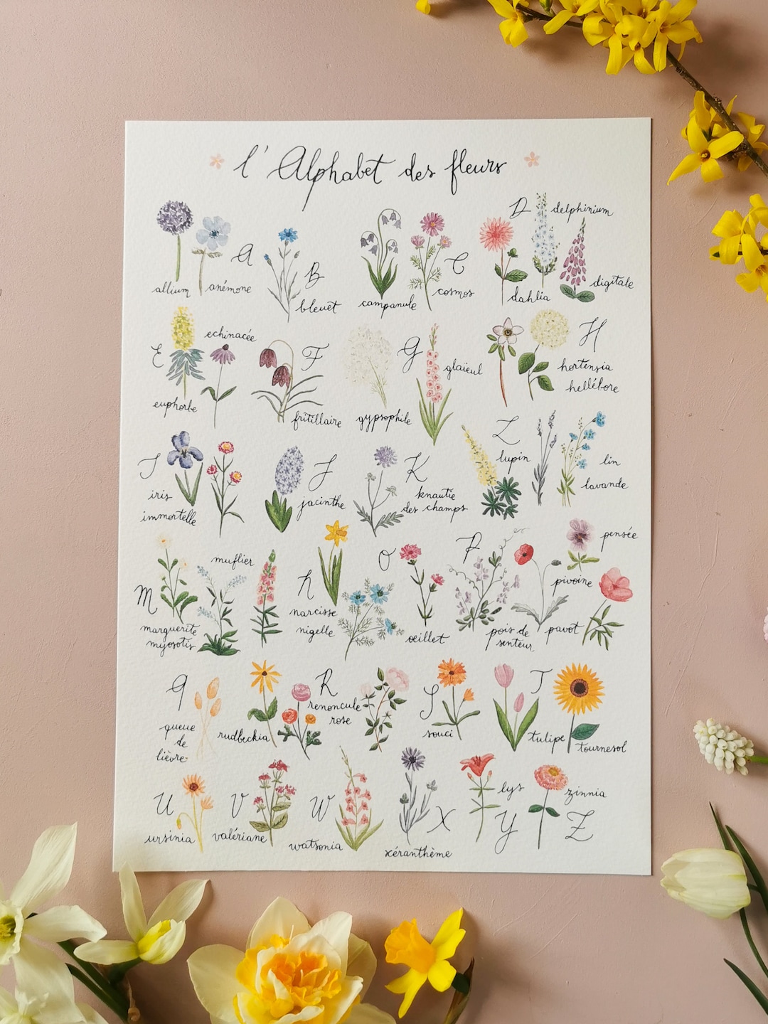 Alphabet - Flower Alphabet - Etsy