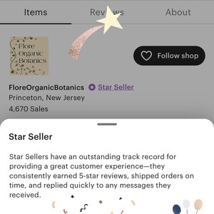 Pressed Periwinkle - 12 Real Vinca Flowers on Short Stem - Blue Purple ...