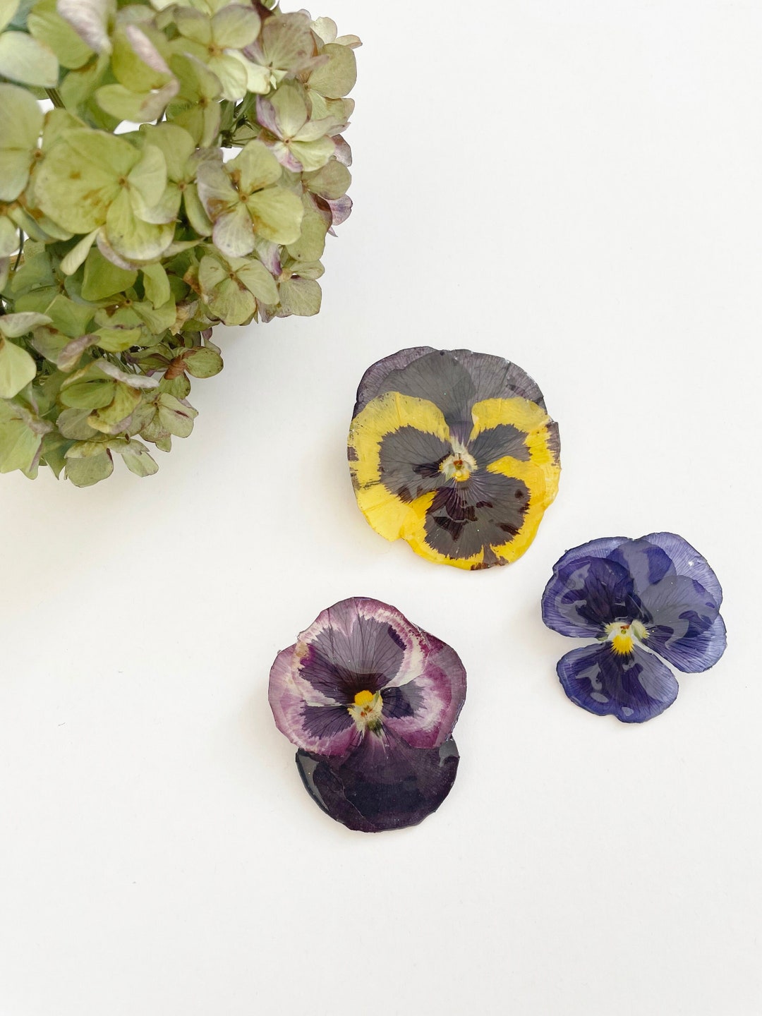 Pressed Pansy Brooch - Real Pansy Viola Flower in Resin - Grown in NJ ...