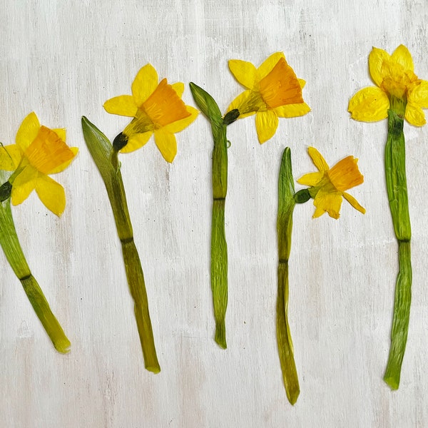 Daffodils - Etsy