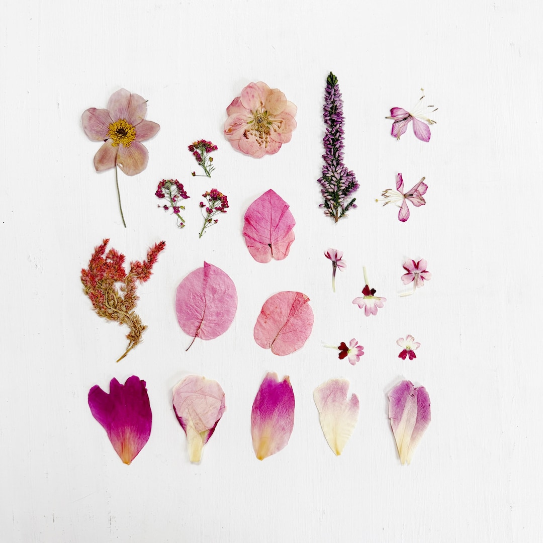 Pressed Pink Flowers Mix - Real Dried Flowers in Pink Shades - Pink ...