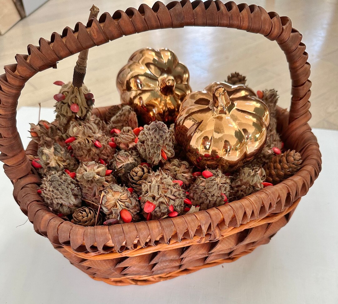 Dried Magnolia Seed Pods 8 Brown Cones With Red Seeds Southern Magnolia ...