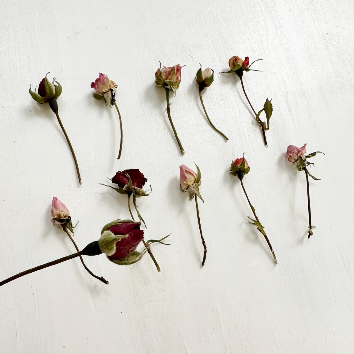 Dried Mini Roses on Small Stems - Tiny Organic Rosebuds on Short Stems ...