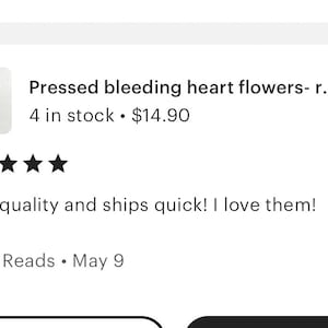 Pressed Bleeding Heart Flowers- Real Dicentra Spectabilis - 3 Stems and ...