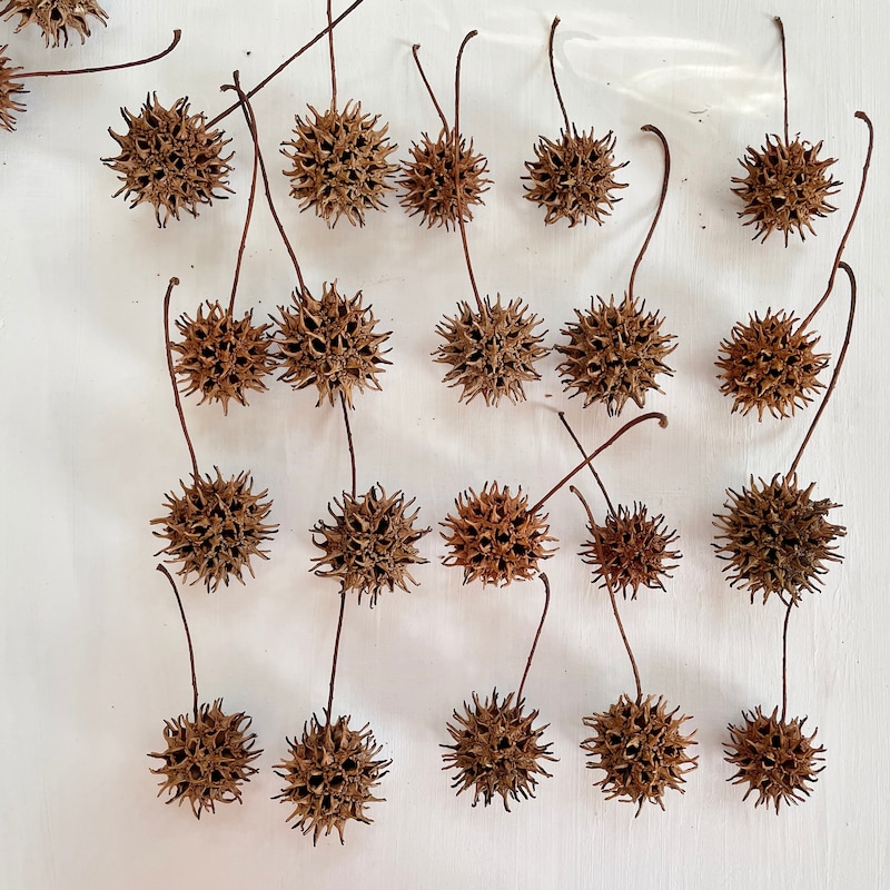 Sweet Gum Ball Crafts - Etsy