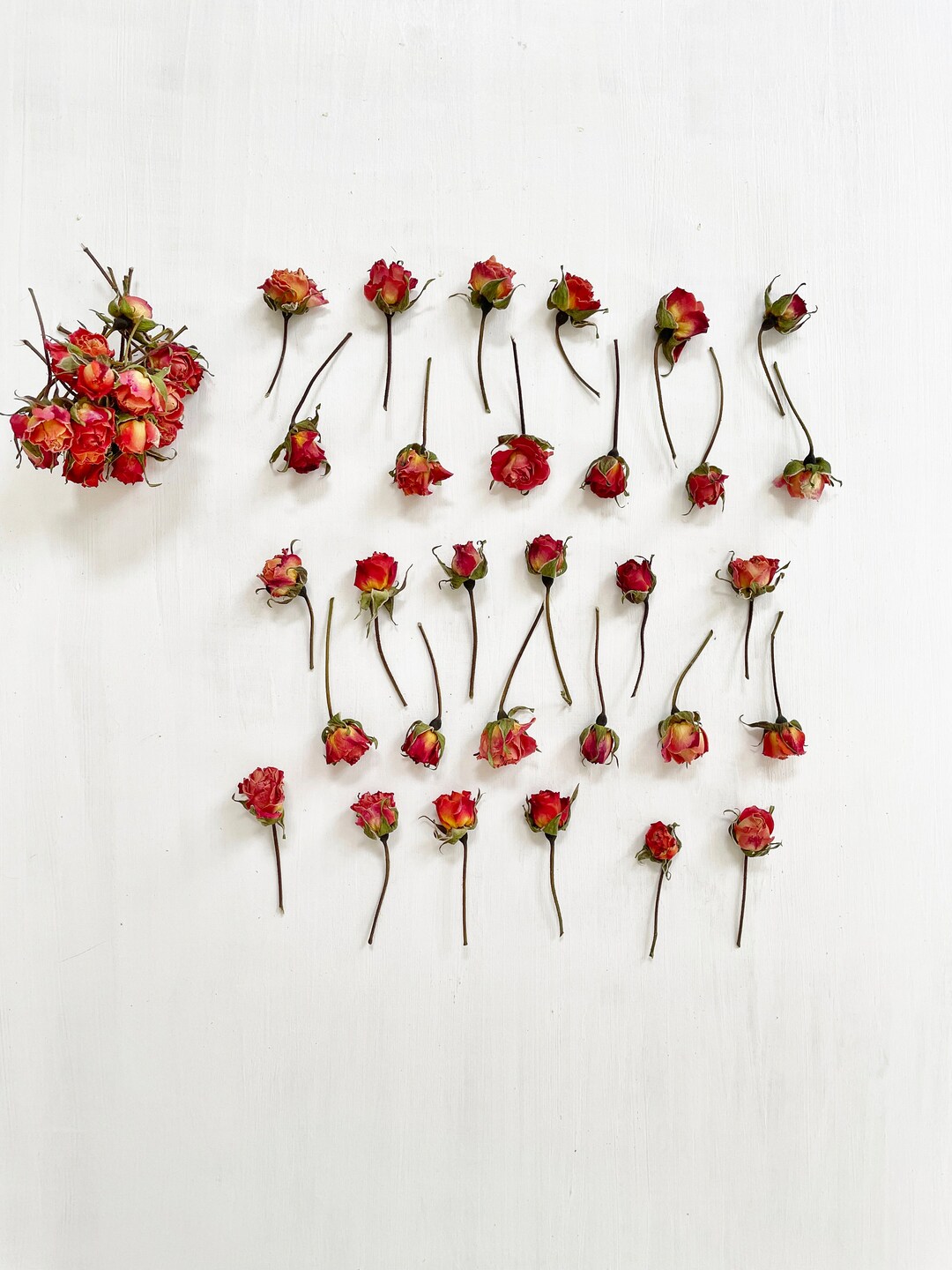Dried Mini Roses on Small Stems Real Tiny Orange Rosebuds - Etsy