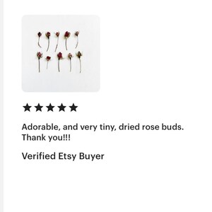 Dried Mini Roses on Small Stems - Tiny Organic Rosebuds on Short Stems ...