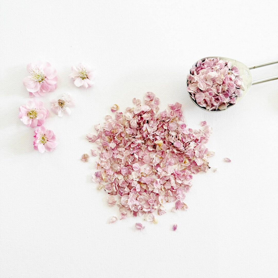 Dried Ume Petals - 1 Tbsp Dried Japanese Plum Blossom Petals - Real ...