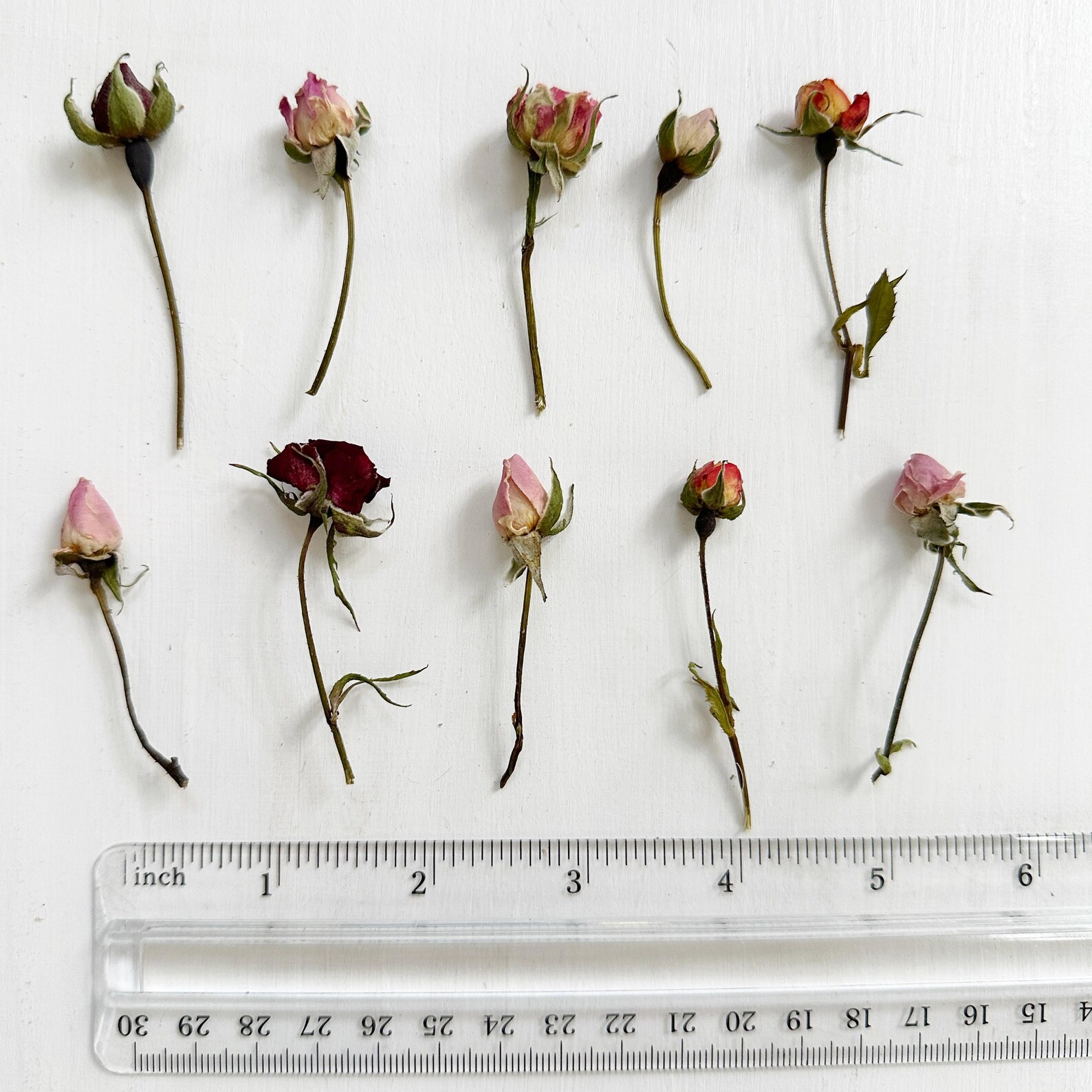 Dried Mini Roses on Small Stems - Tiny Organic Rosebuds on Short Stems ...
