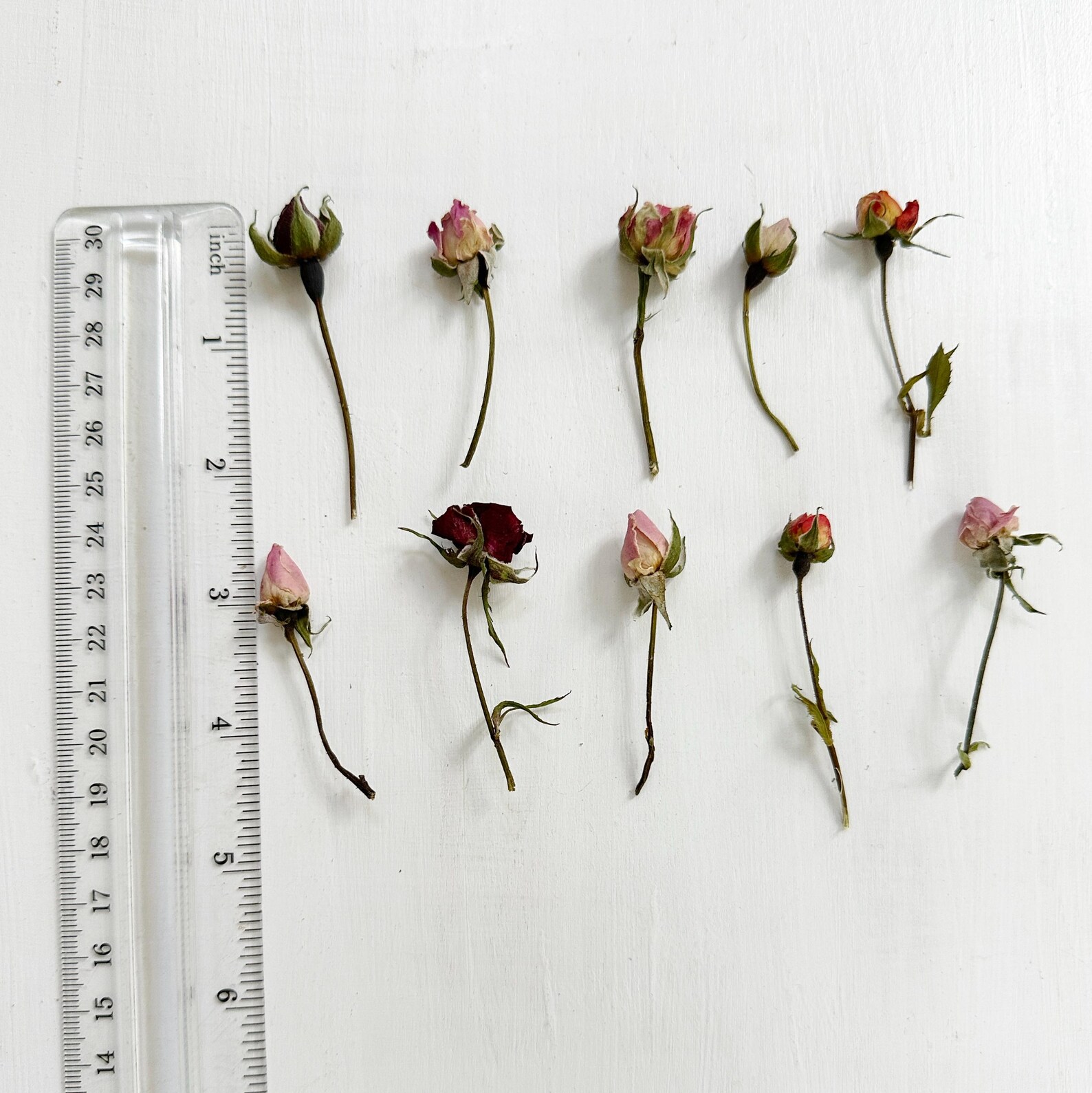 Dried Mini Roses on Small Stems - Tiny Organic Rosebuds on Short Stems ...
