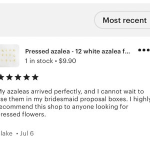 Pressed Azalea - Real Dried Flowers - 16 Small Pink Purple Azaleas ...