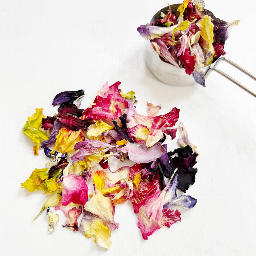 Dried Gladiolus Petals - 1/2 Cup Gladiolus Flowers in Mixed Colors ...