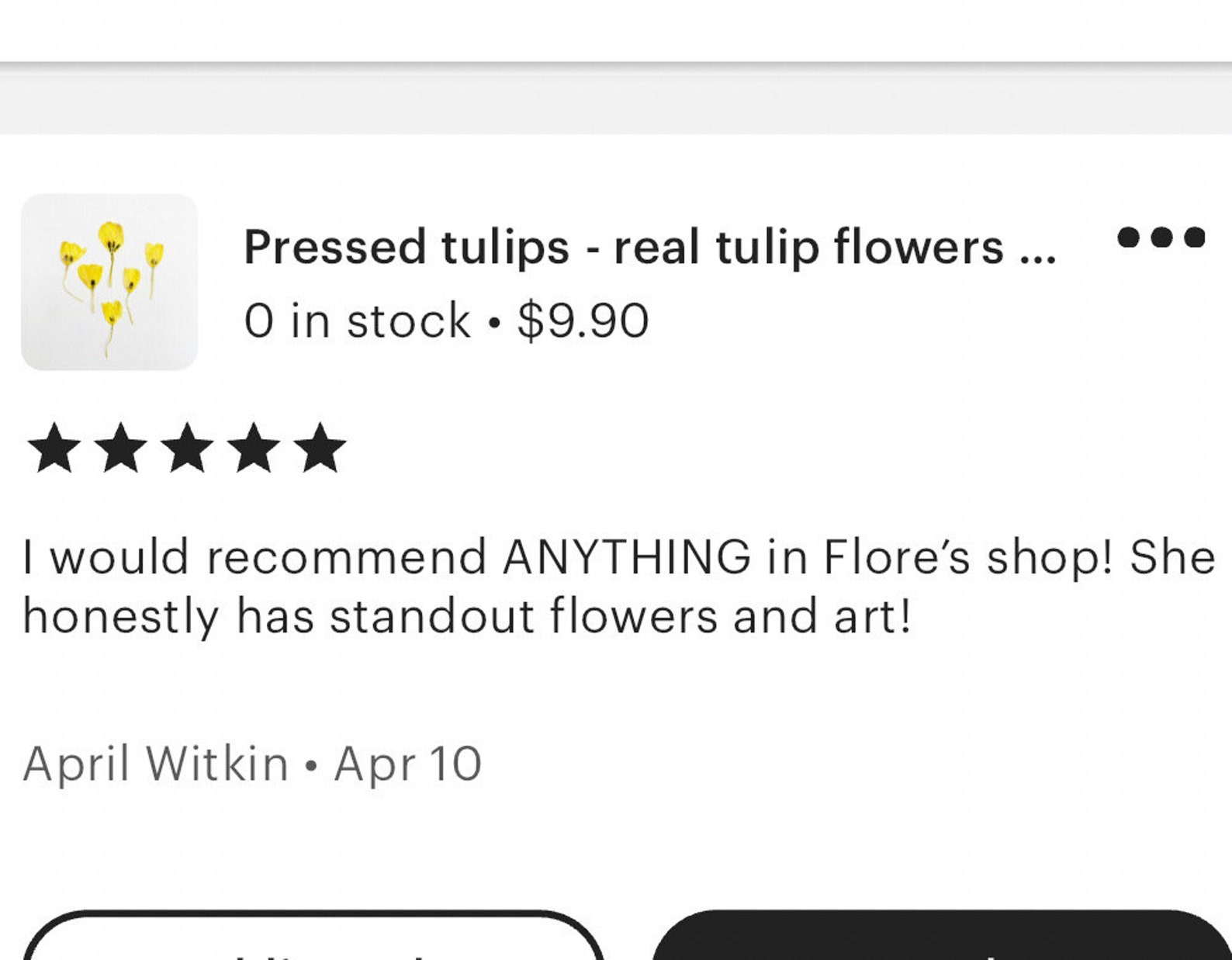 Pressed Tulips - Real Tulip Flowers Cut in Half - 6 Yellow Tulips on ...