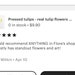 Pressed Tulips - Real Tulip Flowers Cut in Half - 6 Yellow Tulips on ...