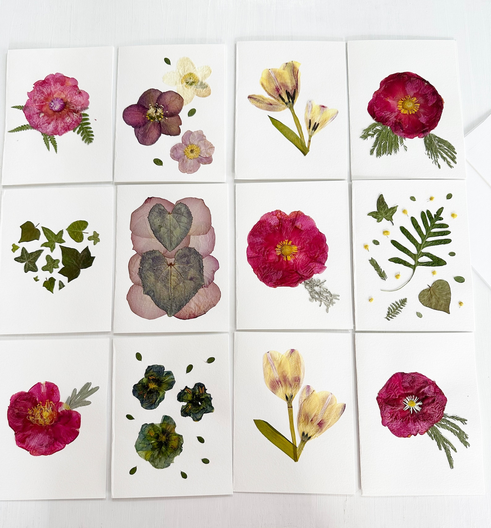 Pressed Tulips - Real Tulip Flowers Cut in Half - 6 Yellow Tulips on ...