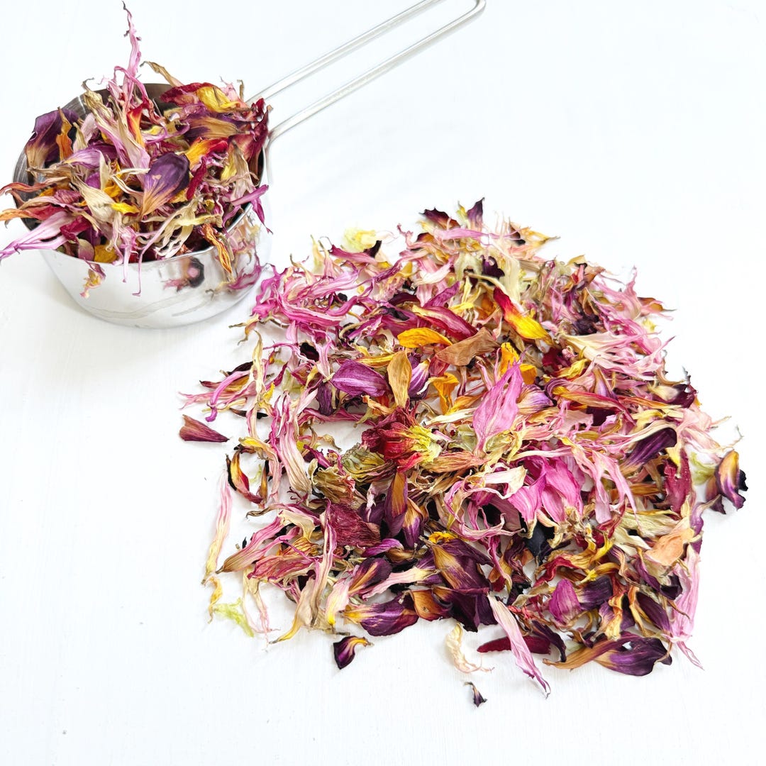 Dried Dahlia Petals - 1/2 Cup Dahlia Petals in Mixed Colors - Airdried ...