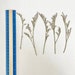Pressed Statice Flowers - 5 Real Sea Lavender Stems - Purple - for ...