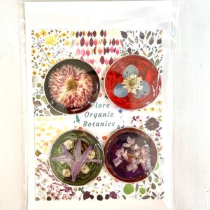 Pressed Flower Magnets Made From Real Flowers and Upcycled Nespresso ...