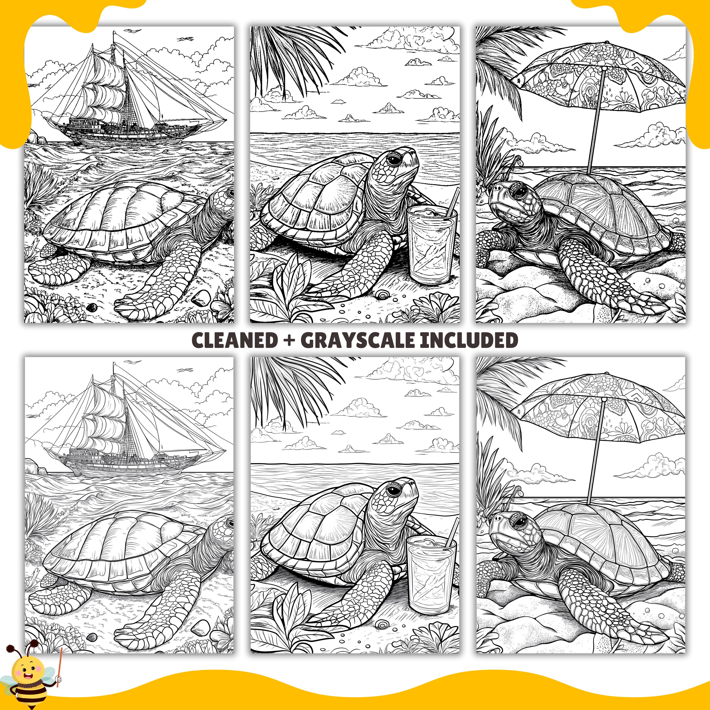 Ocean Turtle Coloring Pages, Sea Turtles Coloring Pages, Underwater ...