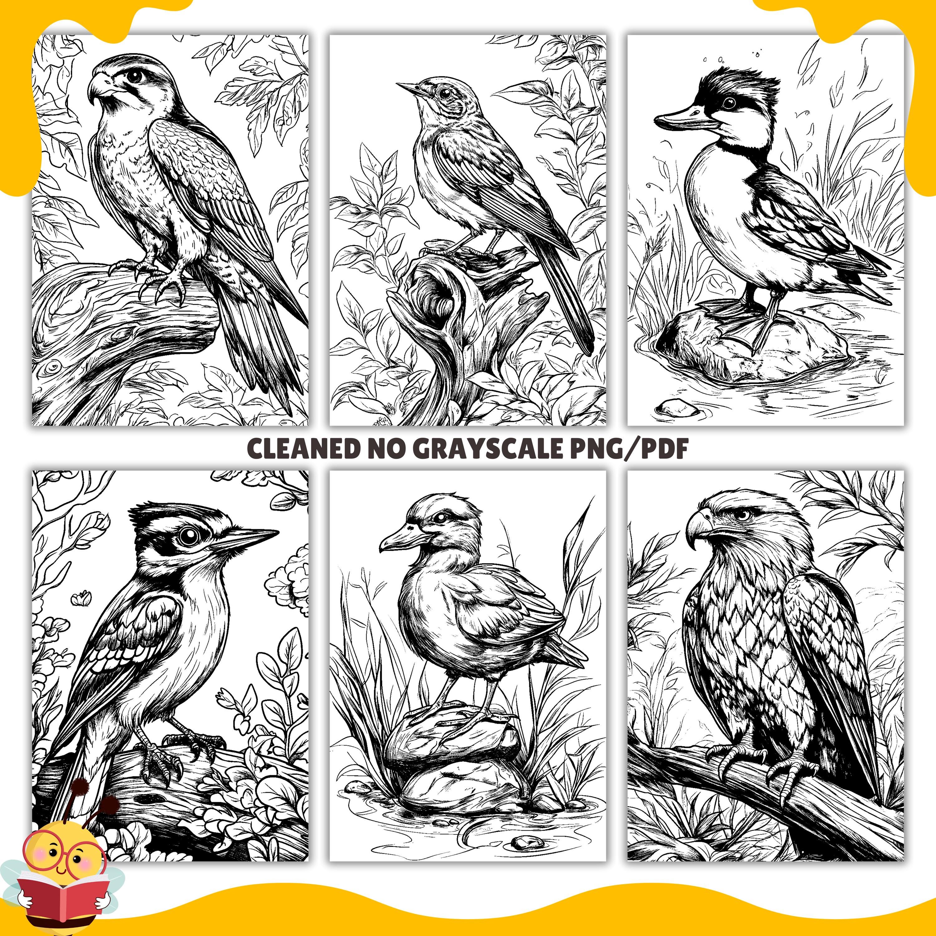 22 Birds Coloring Pages, Coloring Book, PDF, PNG and Grayscale, Adult ...