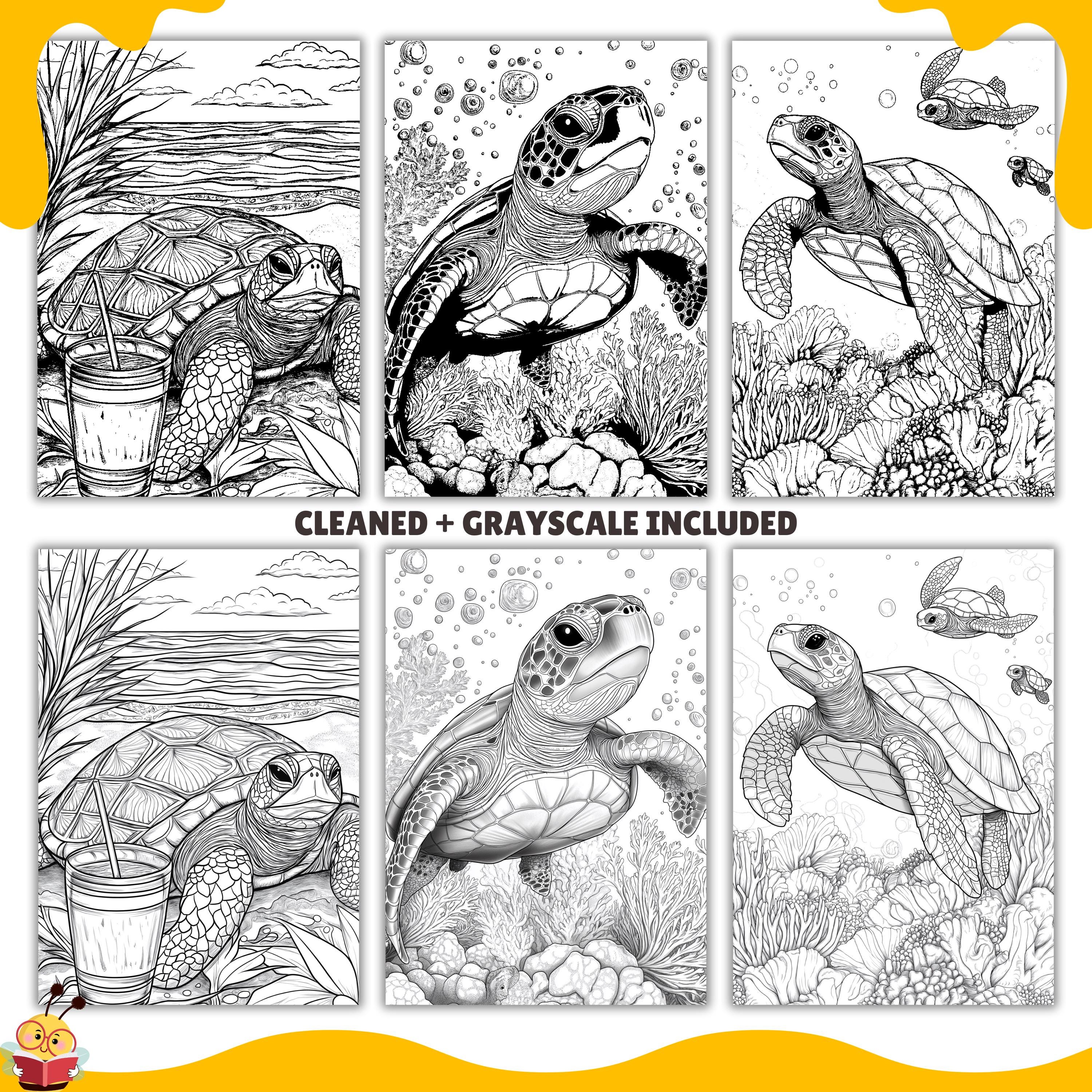Ocean Turtle Coloring Pages, Sea Turtles Coloring Pages, Underwater ...